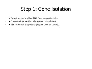 Insulin_Genetic_Engineering_Presentation_Template.pptx