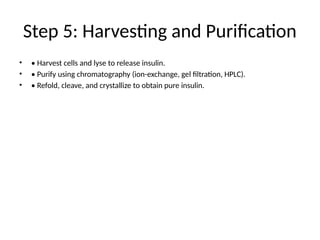 Insulin_Genetic_Engineering_Presentation_Template.pptx