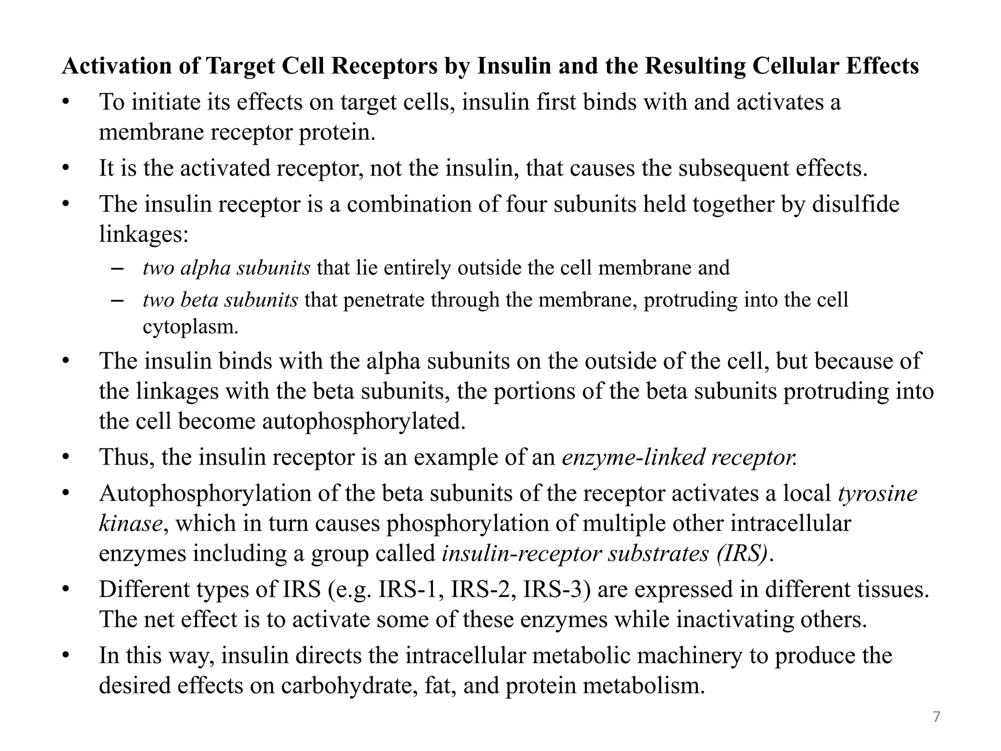 Insulin and glucagon biosynthesis from amino acids | PPTX