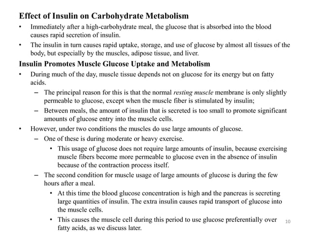 Insulin and glucagon biosynthesis from amino acids | PPT