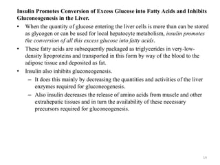 Insulin and glucagon biosynthesis from amino acids | PPT