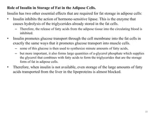 Insulin and glucagon biosynthesis from amino acids | PPT