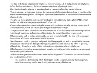 Insulin and glucagon biosynthesis from amino acids | PPTX