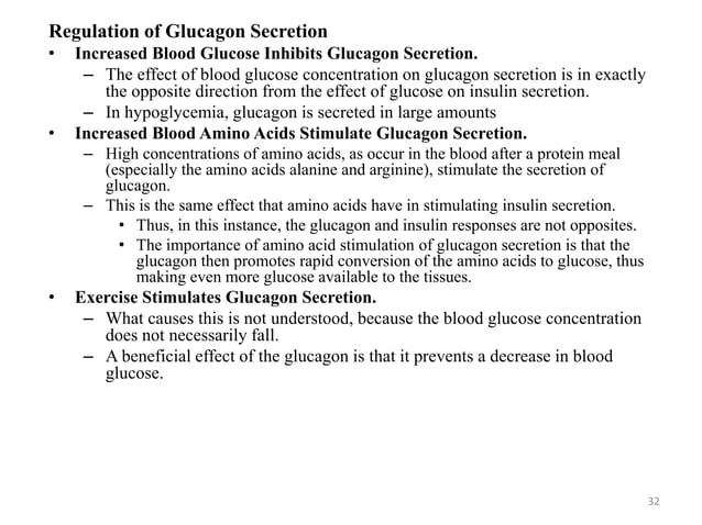 Insulin and glucagon biosynthesis from amino acids | PPT