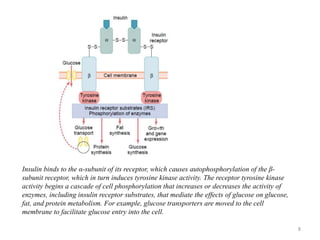 Insulin and glucagon biosynthesis from amino acids | PPTX