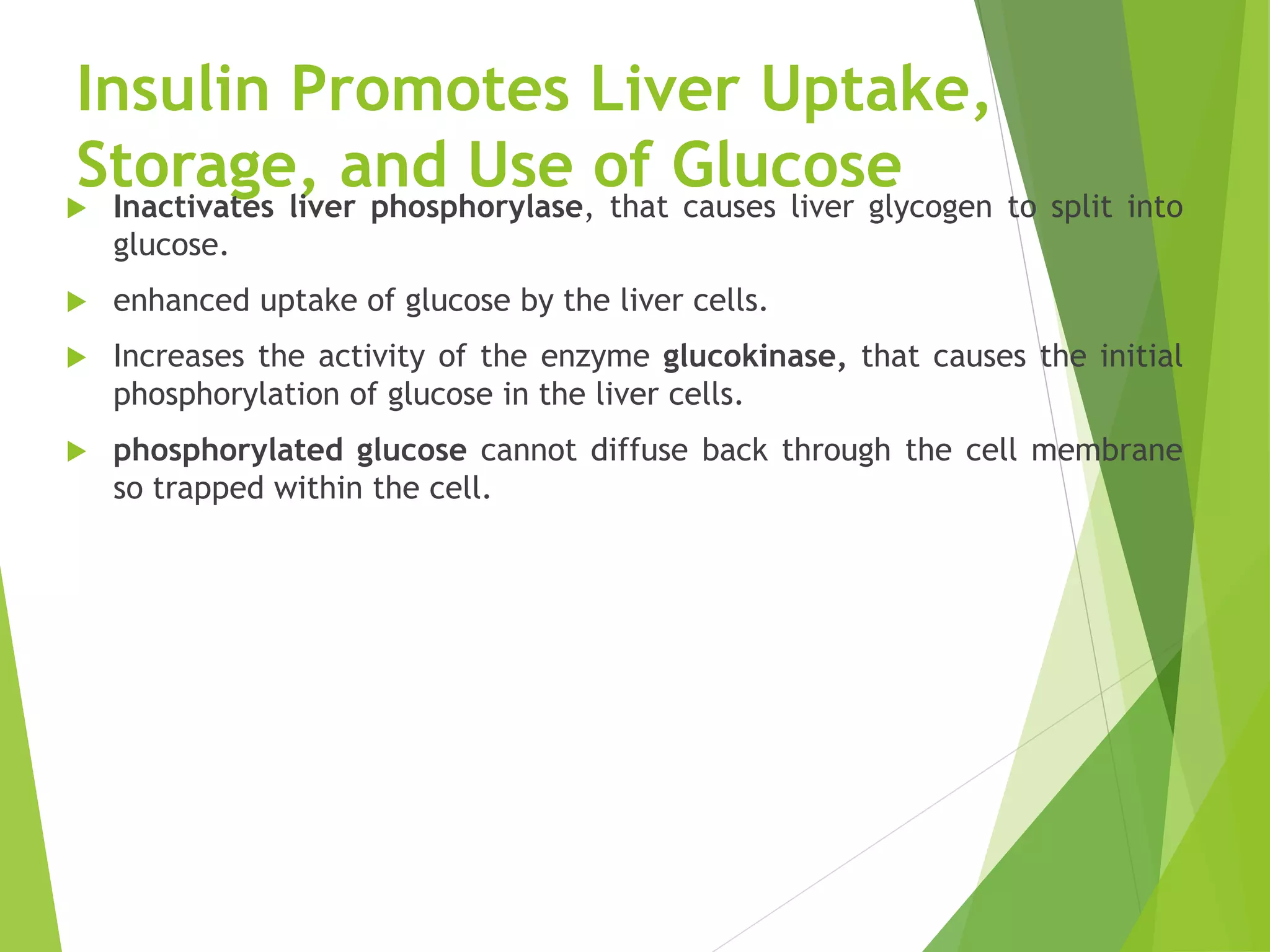 Insulin, glucagon, and diabetes mellitus | PPTX