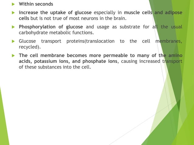 Insulin, glucagon, and diabetes mellitus | PPTX | Endocrine and ...