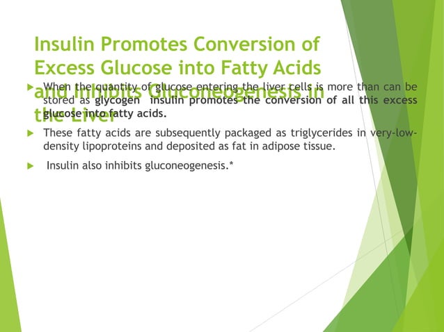 Insulin, glucagon, and diabetes mellitus | PPTX | Endocrine and ...
