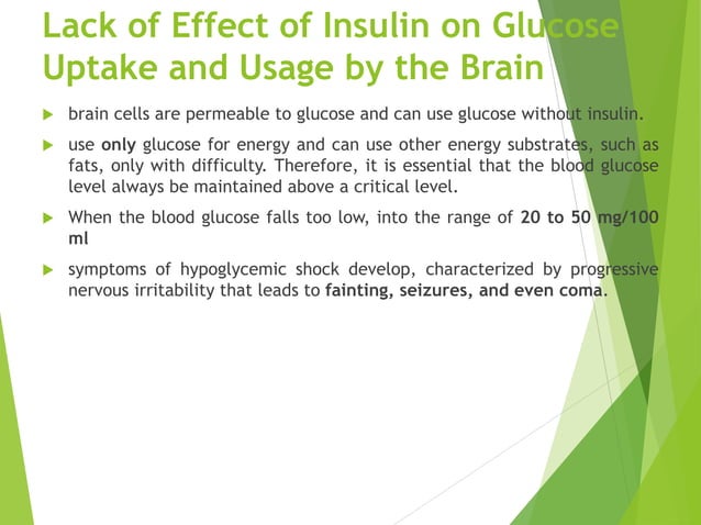 Insulin, glucagon, and diabetes mellitus | PPTX | Endocrine and ...