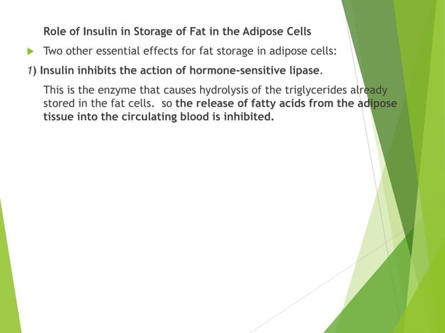Insulin, glucagon, and diabetes mellitus | PPTX | Endocrine and ...