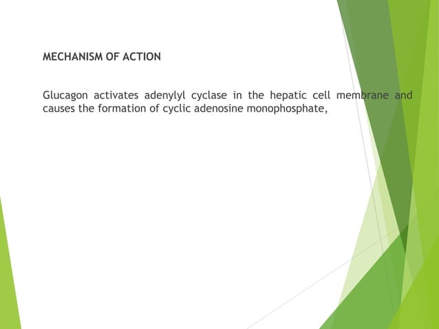 Insulin, glucagon, and diabetes mellitus | PPTX | Endocrine and ...