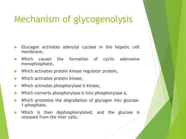 Insulin, glucagon, and diabetes mellitus | PPTX | Endocrine and ...