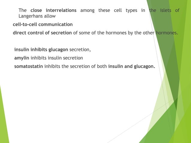 Insulin, glucagon, and diabetes mellitus | PPTX | Endocrine and ...