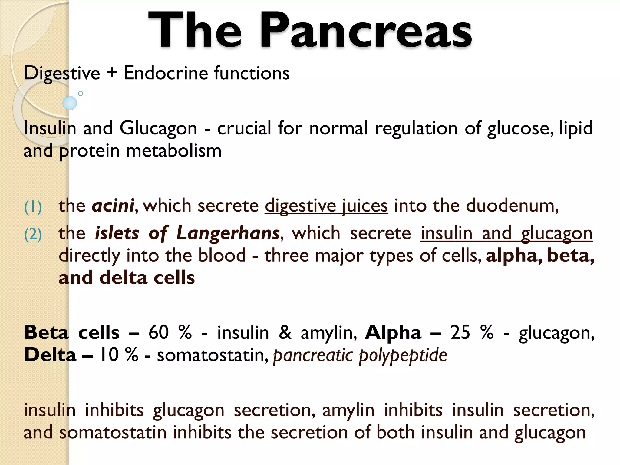 Insulin, glucagon & dm | PPTX