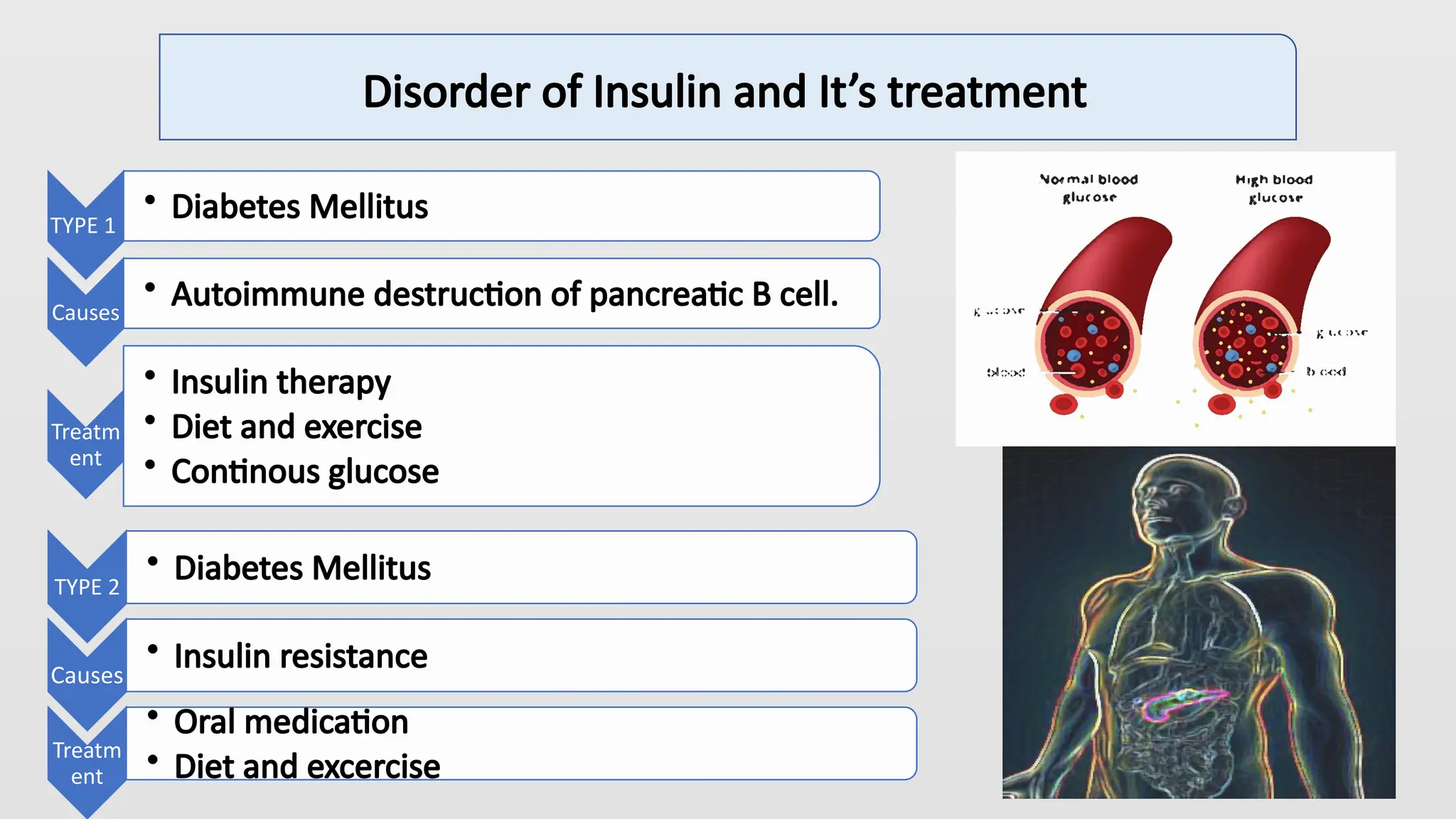 Insulin mechanism action , insulin receptor ,insulin mode of action ...