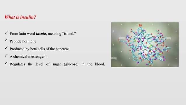 Insulin mechanism action , insulin receptor ,insulin mode of action ...