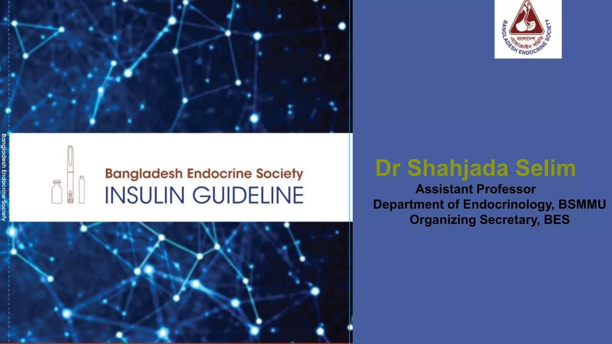 Insulin guideline of BES- Dr Selim | PPTX