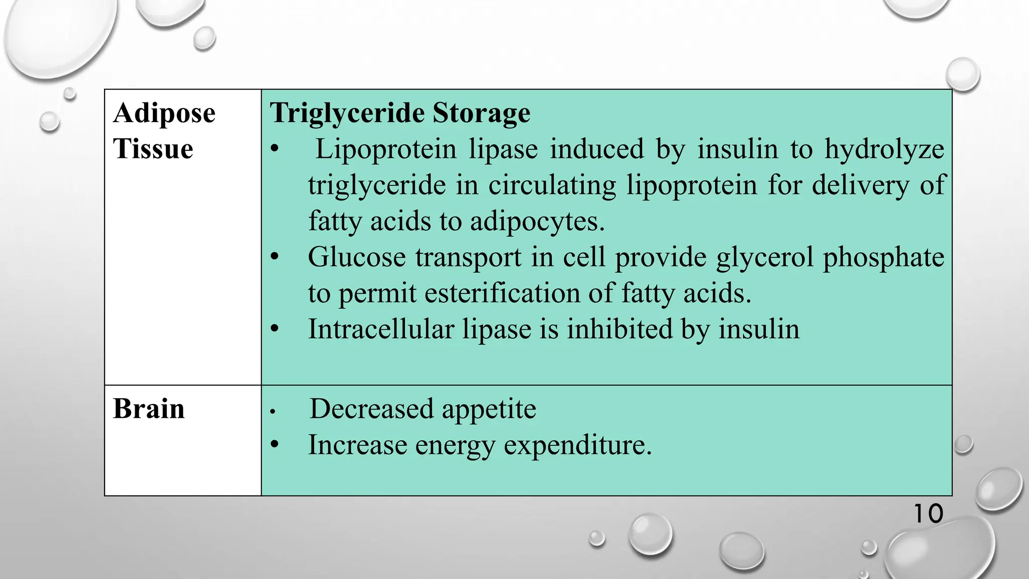 Insulin Hormone.pdf