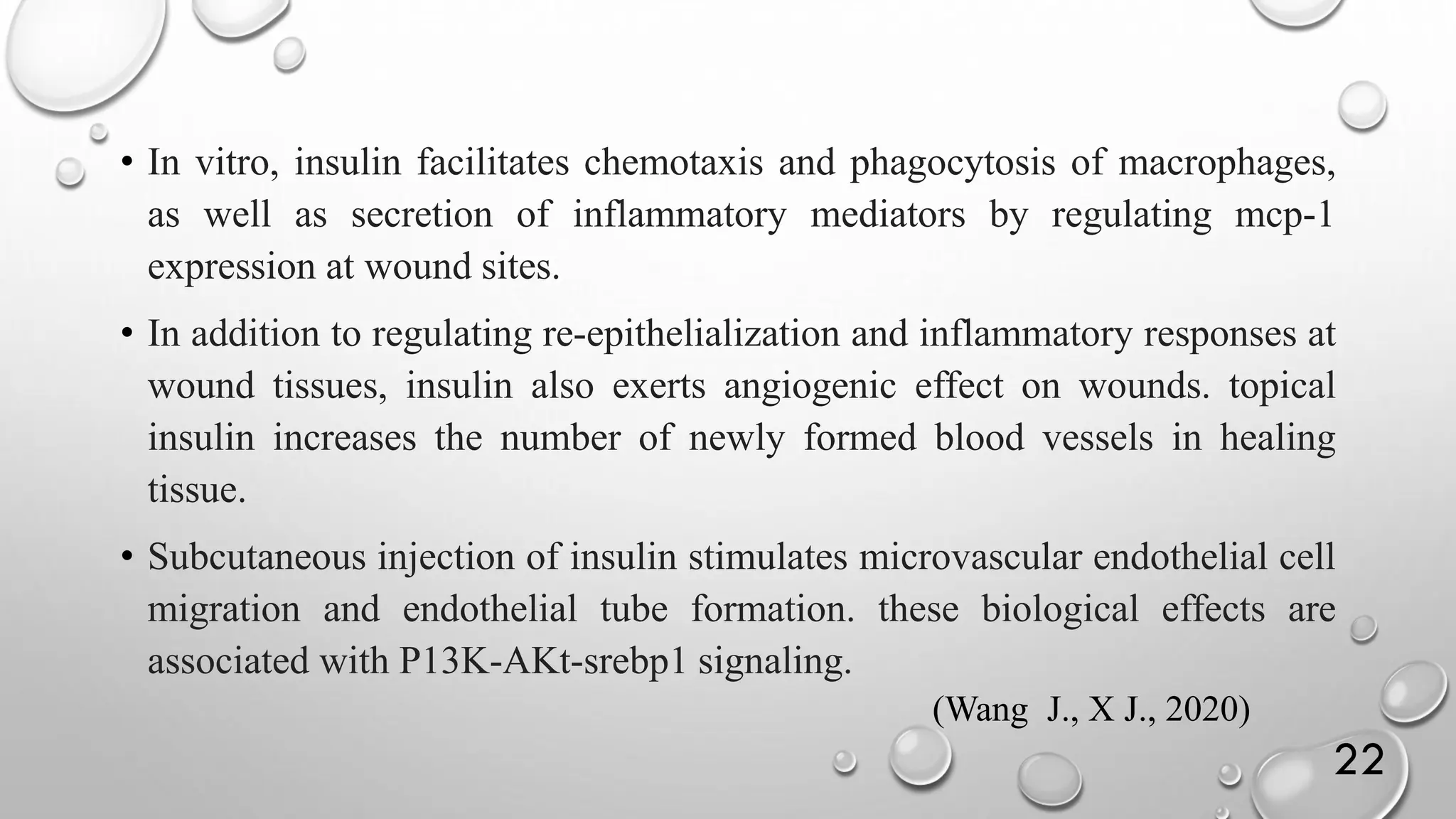 Insulin Hormone.pdf | Free Download