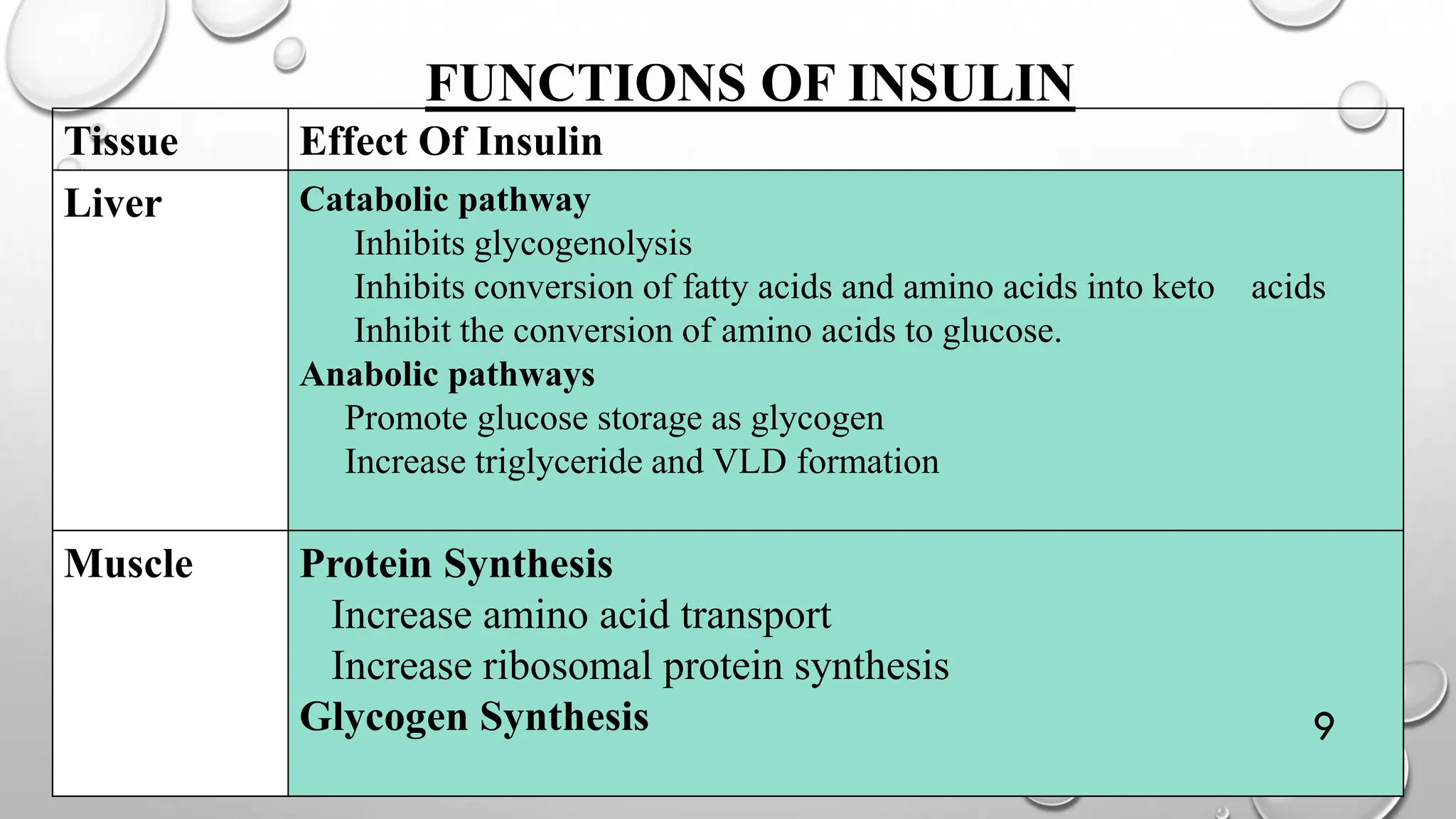 Insulin Hormone.pdf