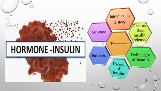 Insulin Hormone.pdf