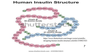 Insulin Hormone.pdf