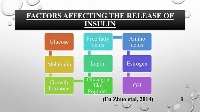 Insulin Hormone.pdf