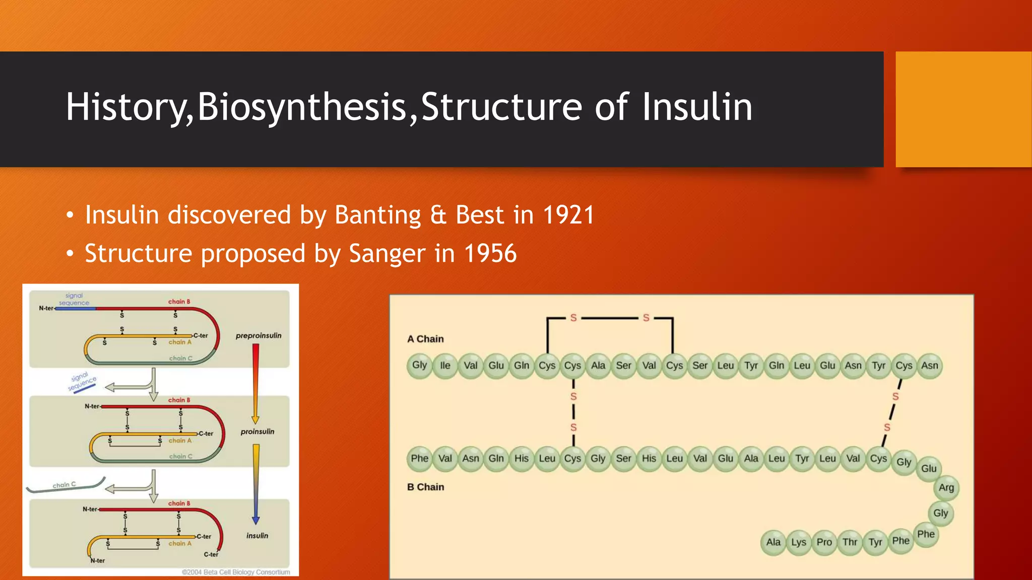 Insulin in management of diabetes mellitus | PPTX
