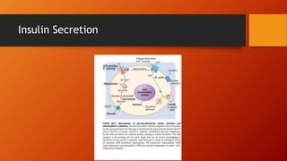 Insulin in management of diabetes mellitus | PPTX