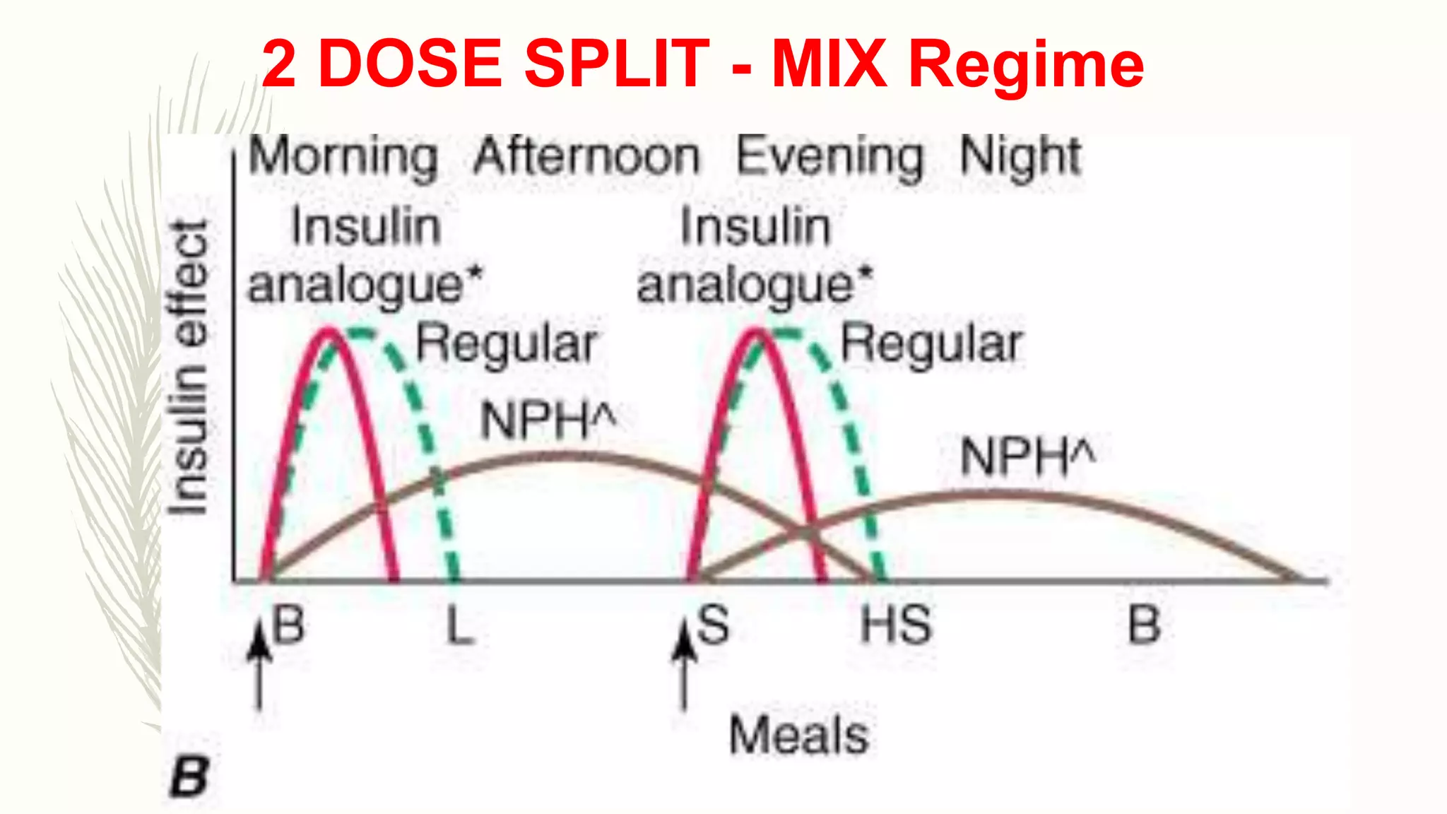 INSULIN MANAGEMENT OF TYPE 1 DIABETES | PPTX