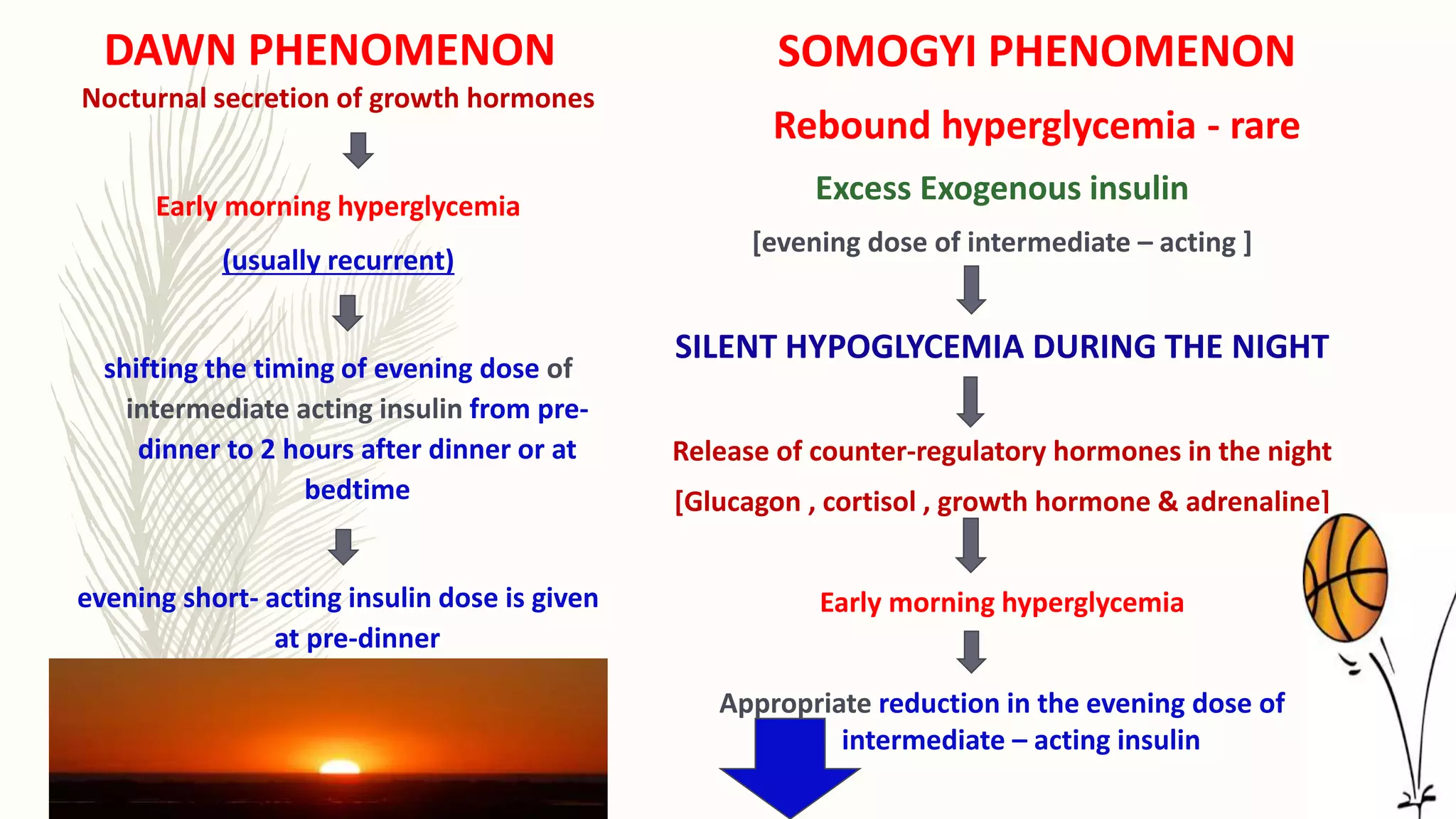 INSULIN MANAGEMENT OF TYPE 1 DIABETES | PPTX
