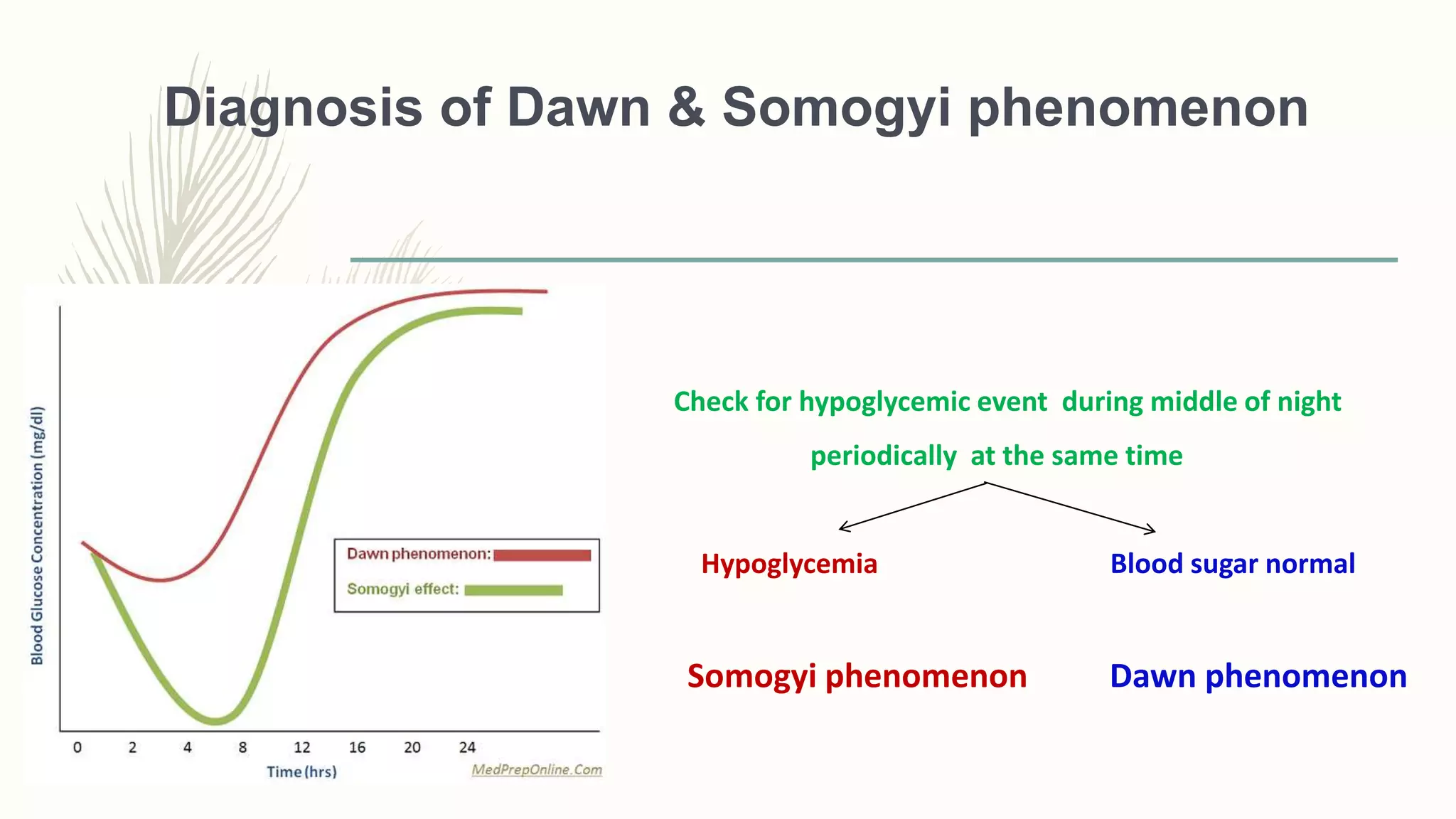 INSULIN MANAGEMENT OF TYPE 1 DIABETES | PPTX