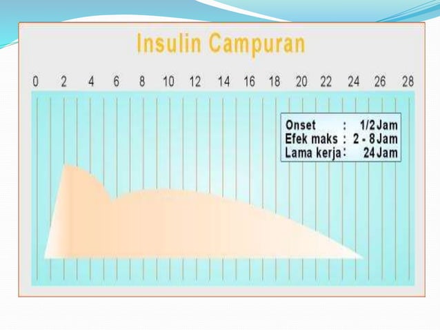 Insulin | PPTX