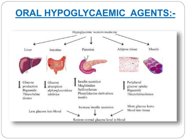 Insulin & Oral Hypoglycemic Agents.