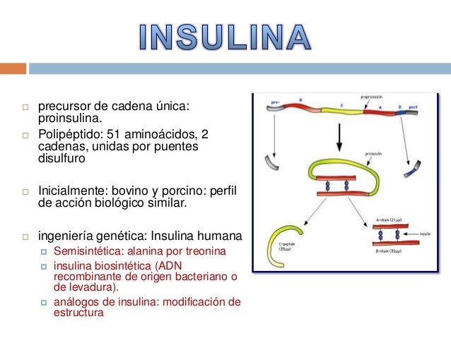 Insulinoterapia