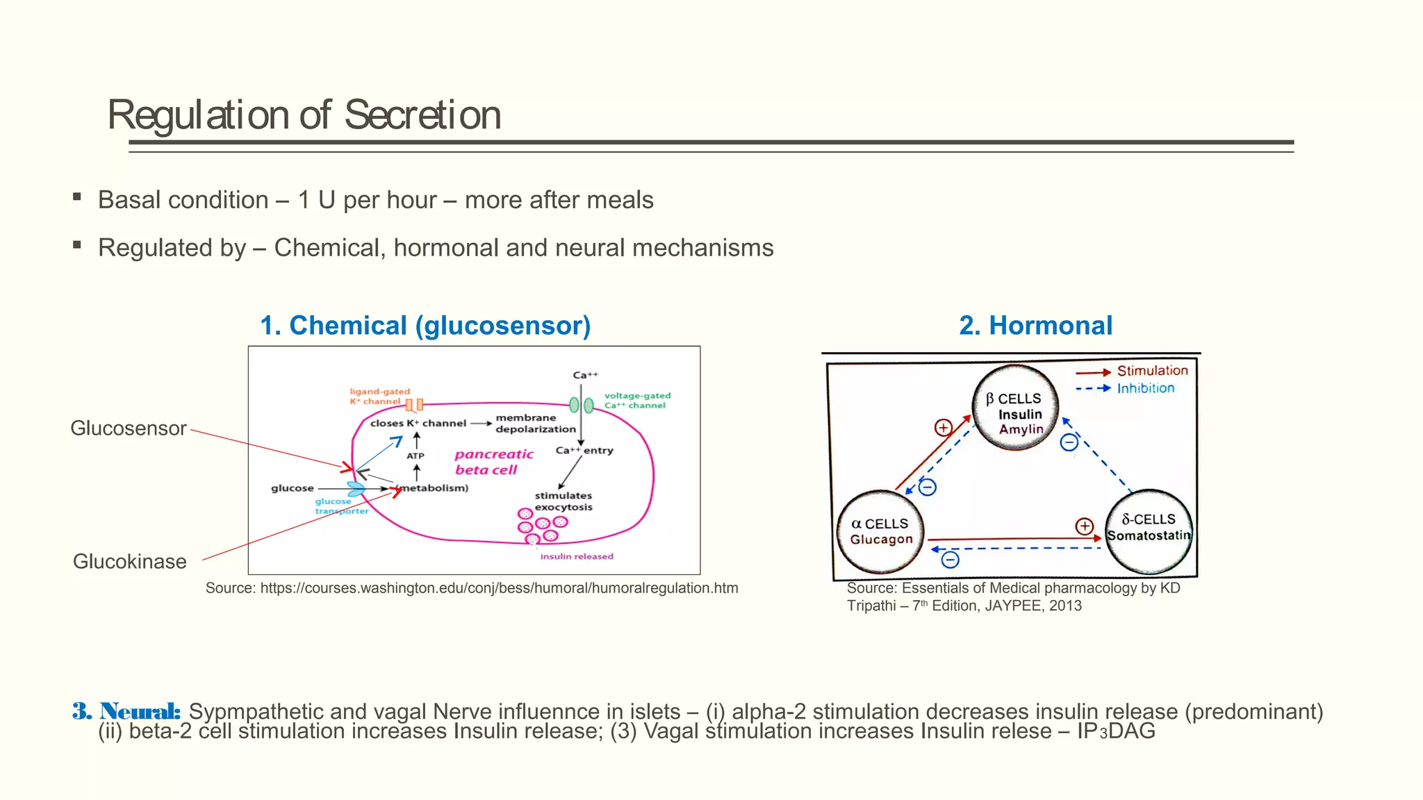 Insulin pharmacology | PPT
