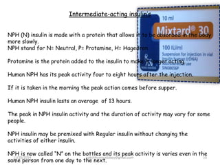 Insulin | PPTX | Endocrine and Metabolic Diseases | Diseases and Conditions