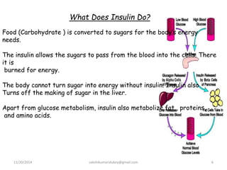 Insulin | PPTX | Endocrine and Metabolic Diseases | Diseases and Conditions