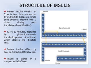 Insulin ppt | PPT