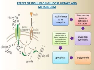 Insulin ppt | PPT