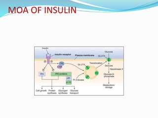 Insulin ppt | PPTX