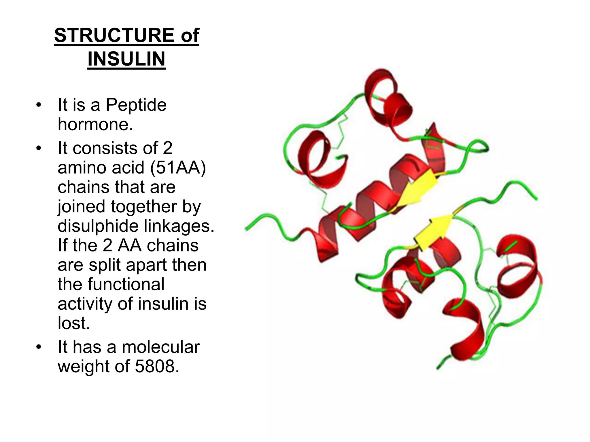 INSULIN_ppt.ppt