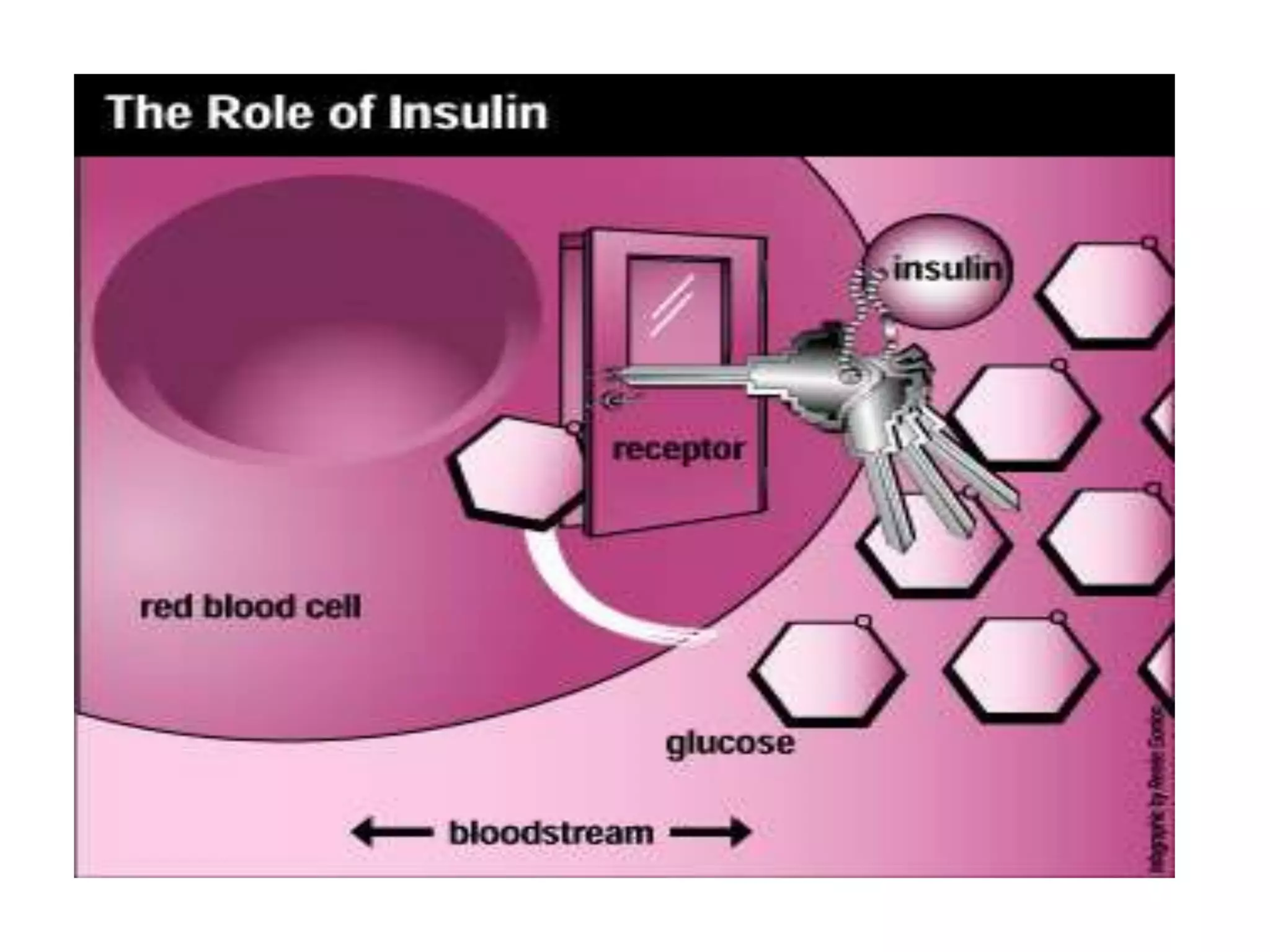 INSULIN_ppt.ppt