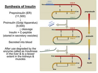 INSULIN_ppt.ppt