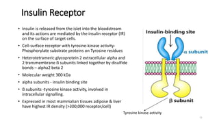 molecular & cellular mechanism of action of insulin | PPTX