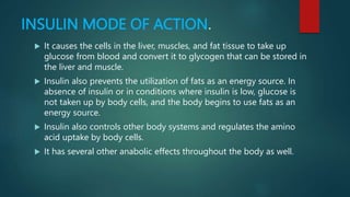 insulin_pptx.pptx