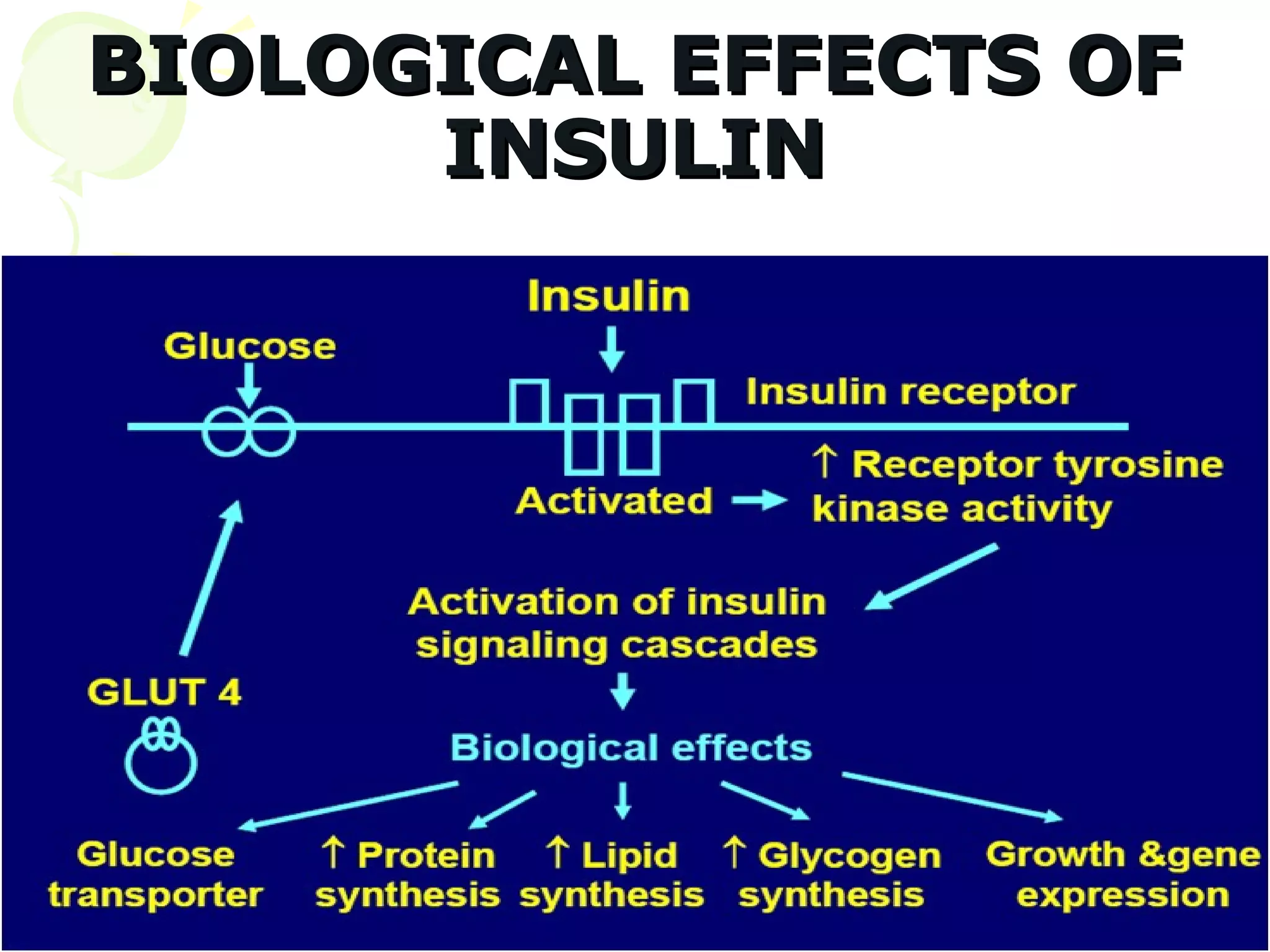 Insulin presentation | PPT