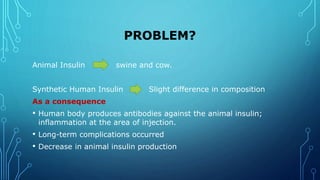 Insulin production and synthesis | PPTX