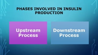 Insulin production and synthesis | PPTX