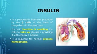 Insulin production and synthesis | PPTX